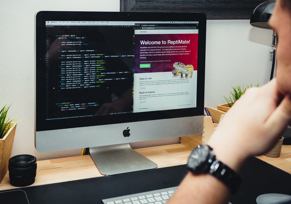 【CSS】backgroundプロパティ（背景画像）でWebPを使う方法 | KUBOGEN